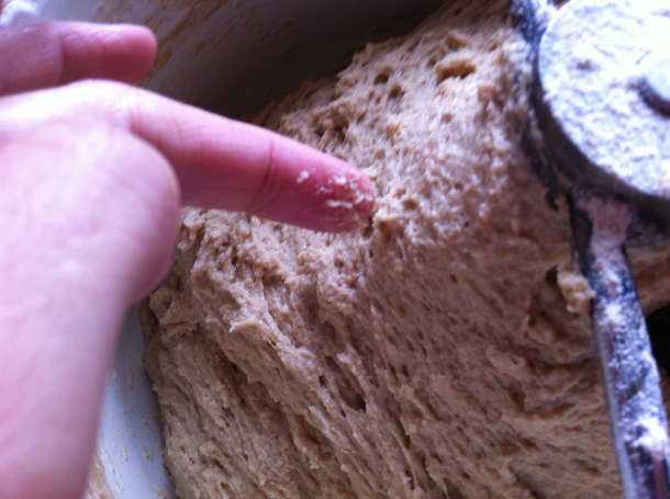 Honey Wheat Roll {and Bread} Recipe!