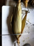 Roasted Corn {Easy to shuck with NO SILK remaining!}